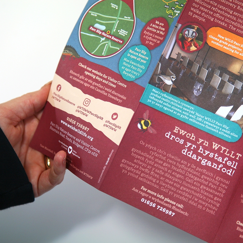Leaflets & Flyers - Design & Printing - Signspeed Services